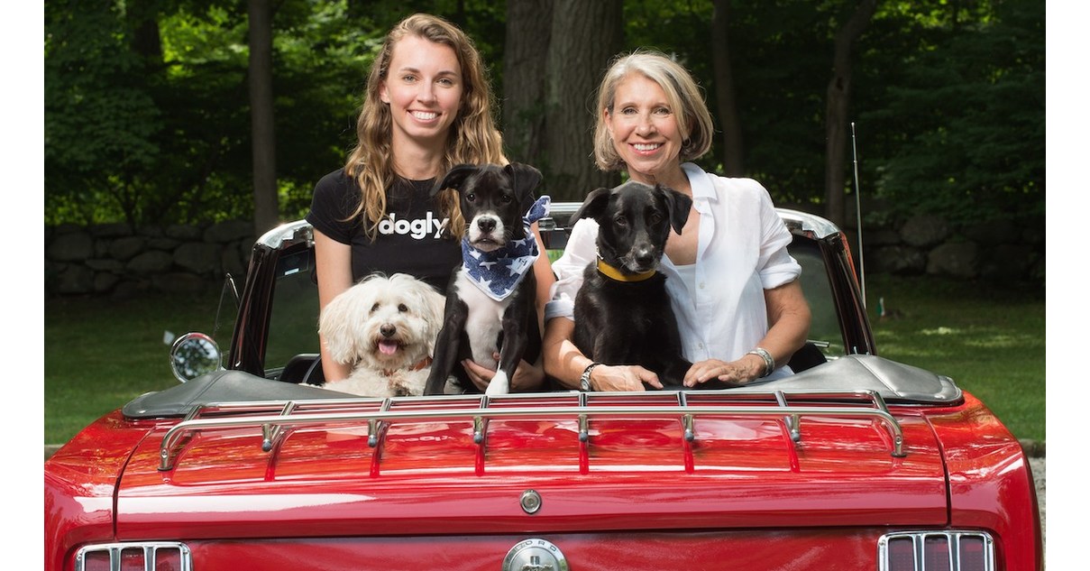 Dogly Partners With Boxed to Bring Trusted, Tested, Natural Products to ...