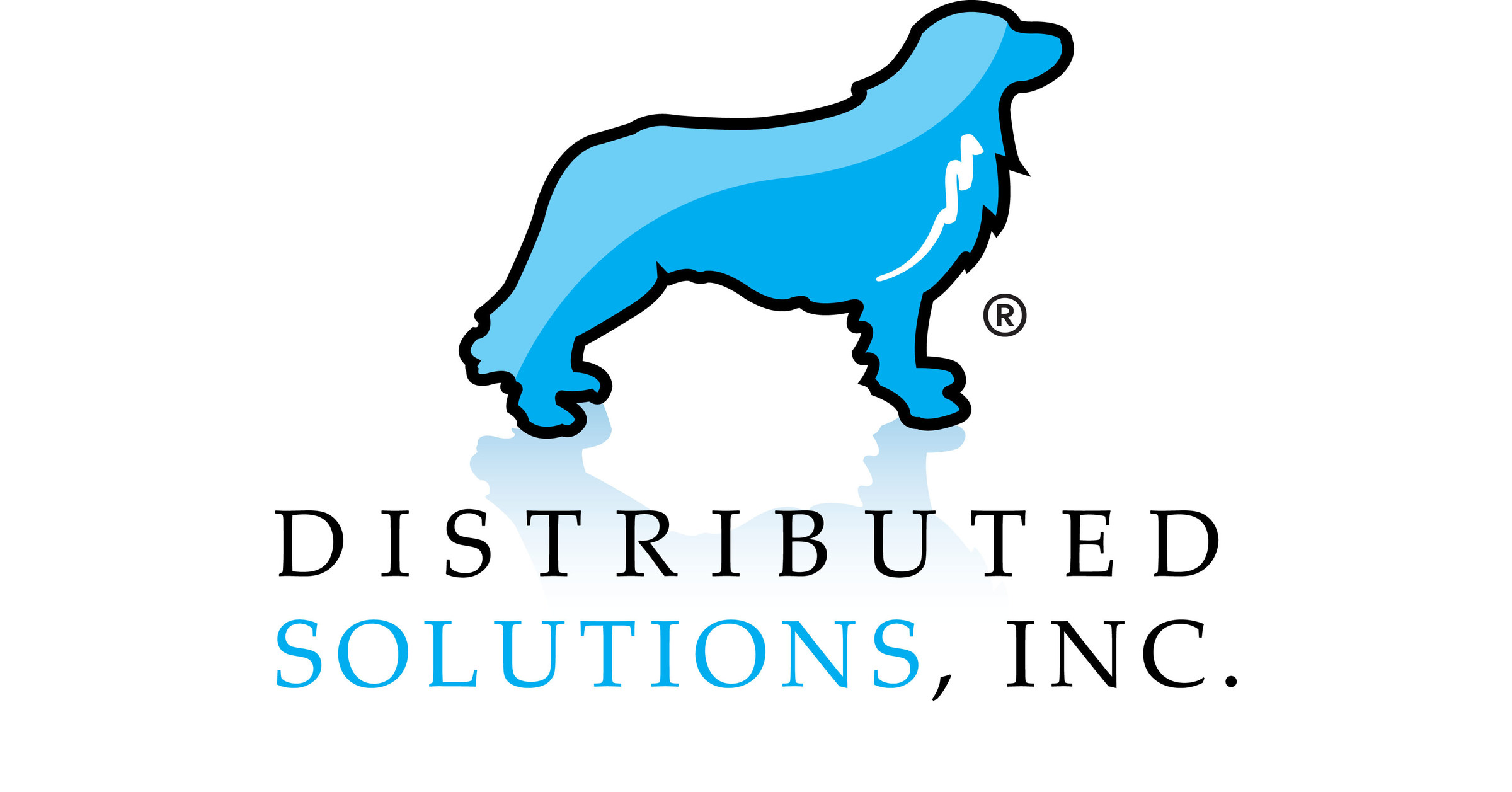 Distributed Solutions Inc., (DSI) to Present Innovative Reporting ...