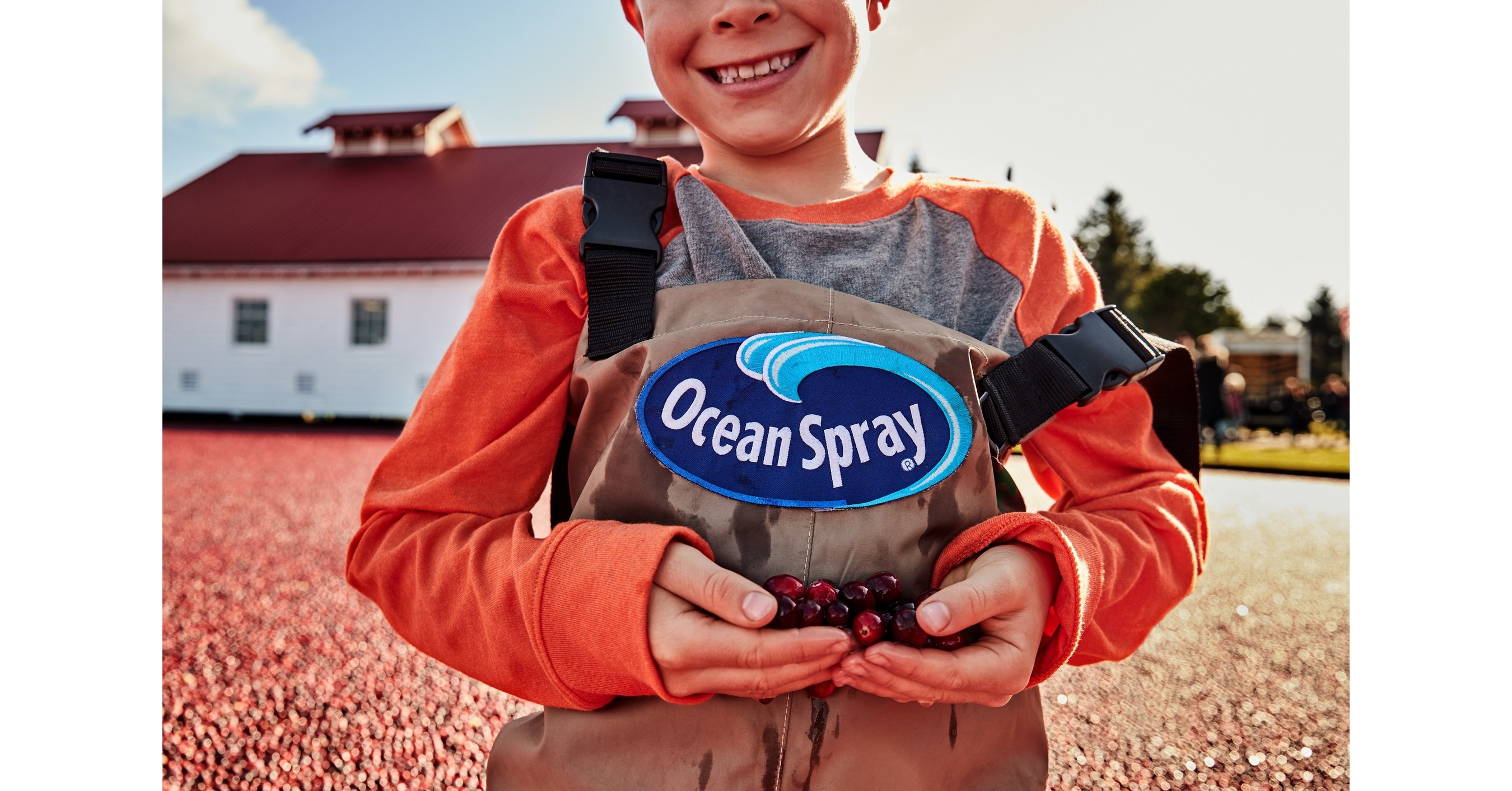 Ocean Spray Cranberries, Inc. Announces 2020 Commitment to Sustainable ...