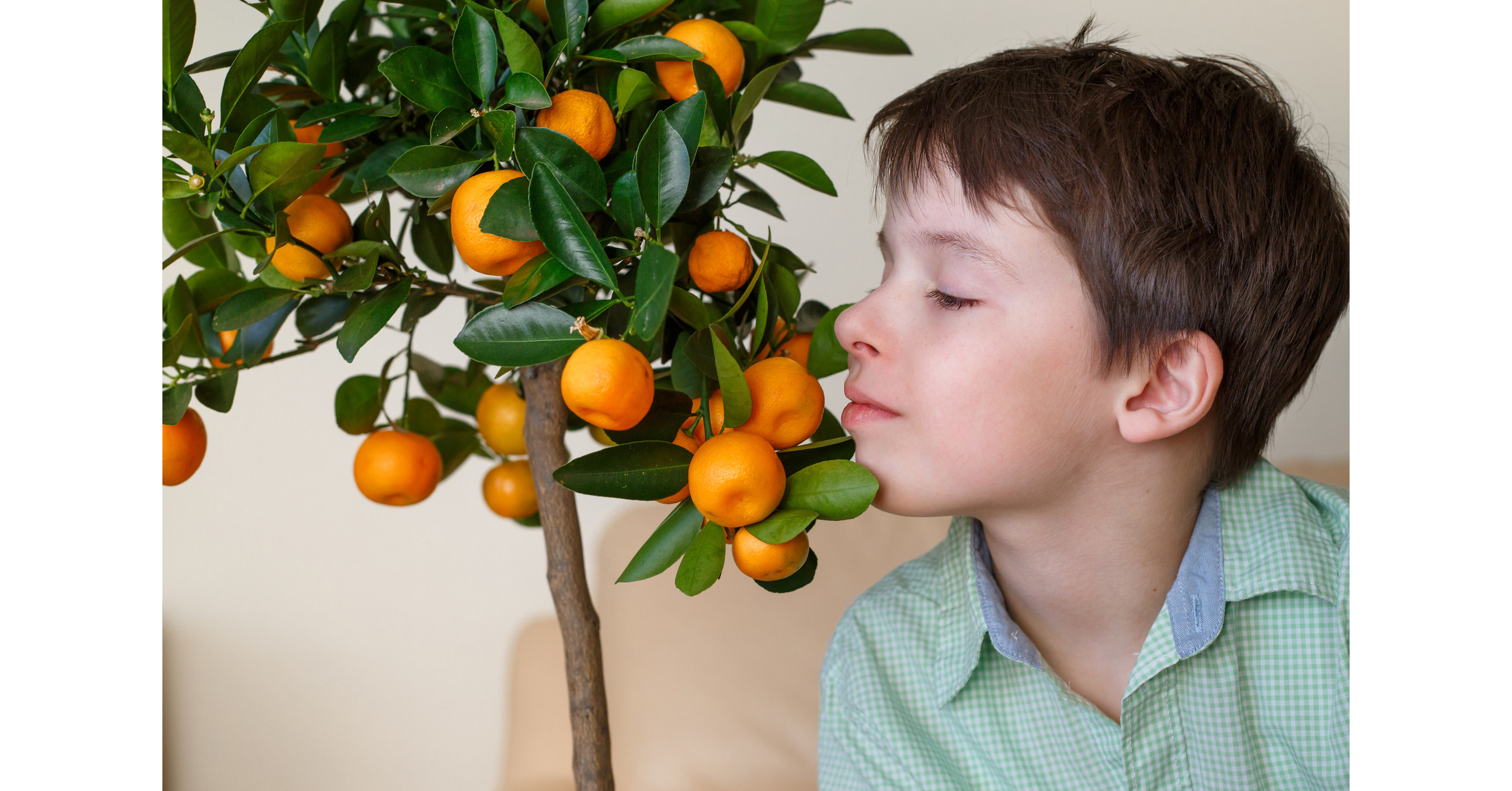 Grow Your Own Citrus. It's Easier Than You Think.