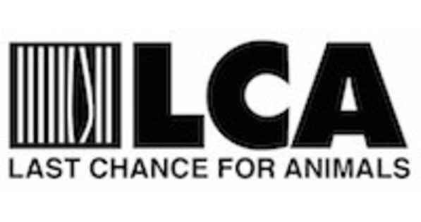 Sheik Halal Farms slaughterhouse: Undercover Investigation Exposes ...