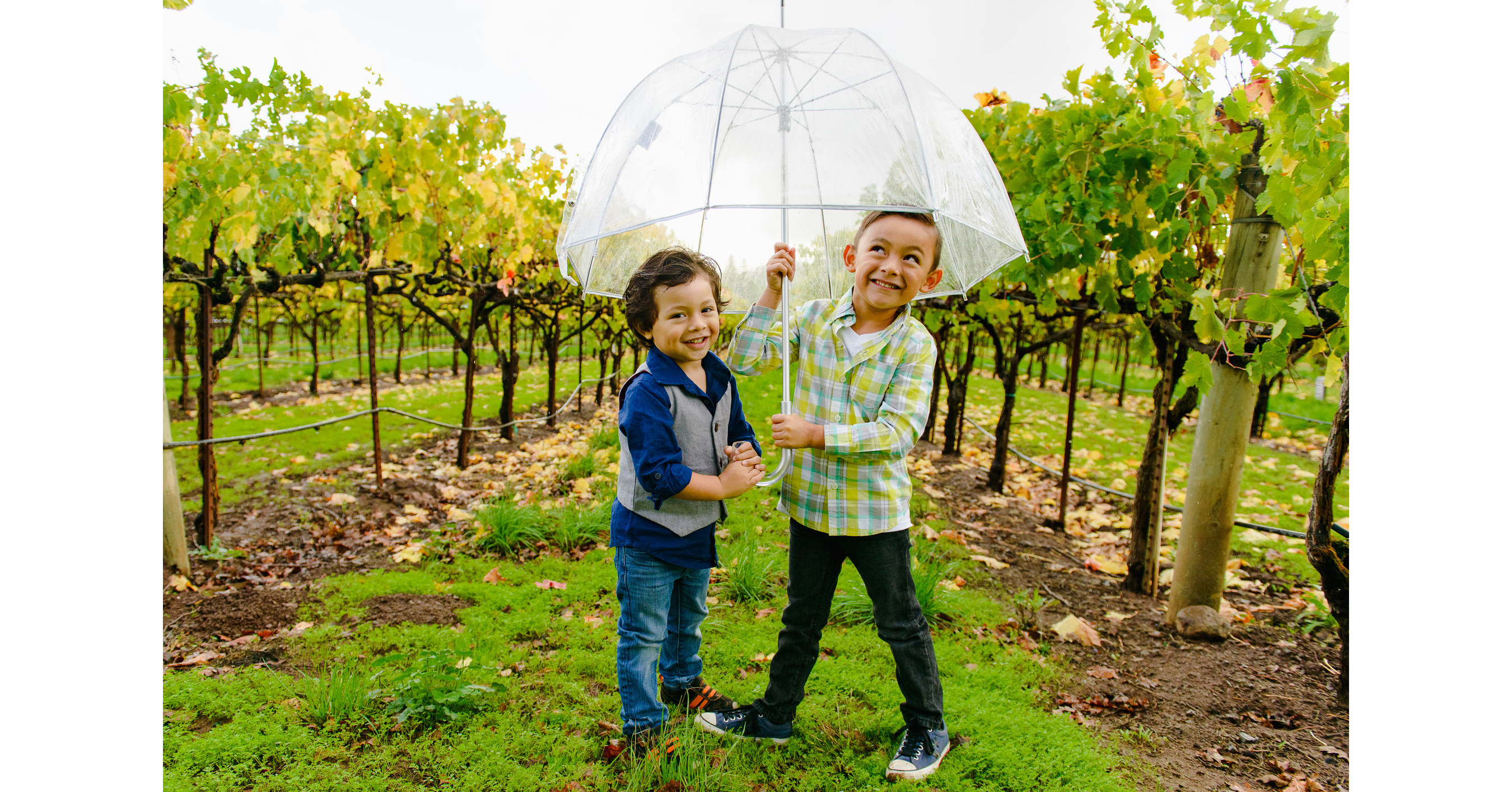 Wine Institute: California's 'Family-Friendly' Wineries Welcome Kids to ...