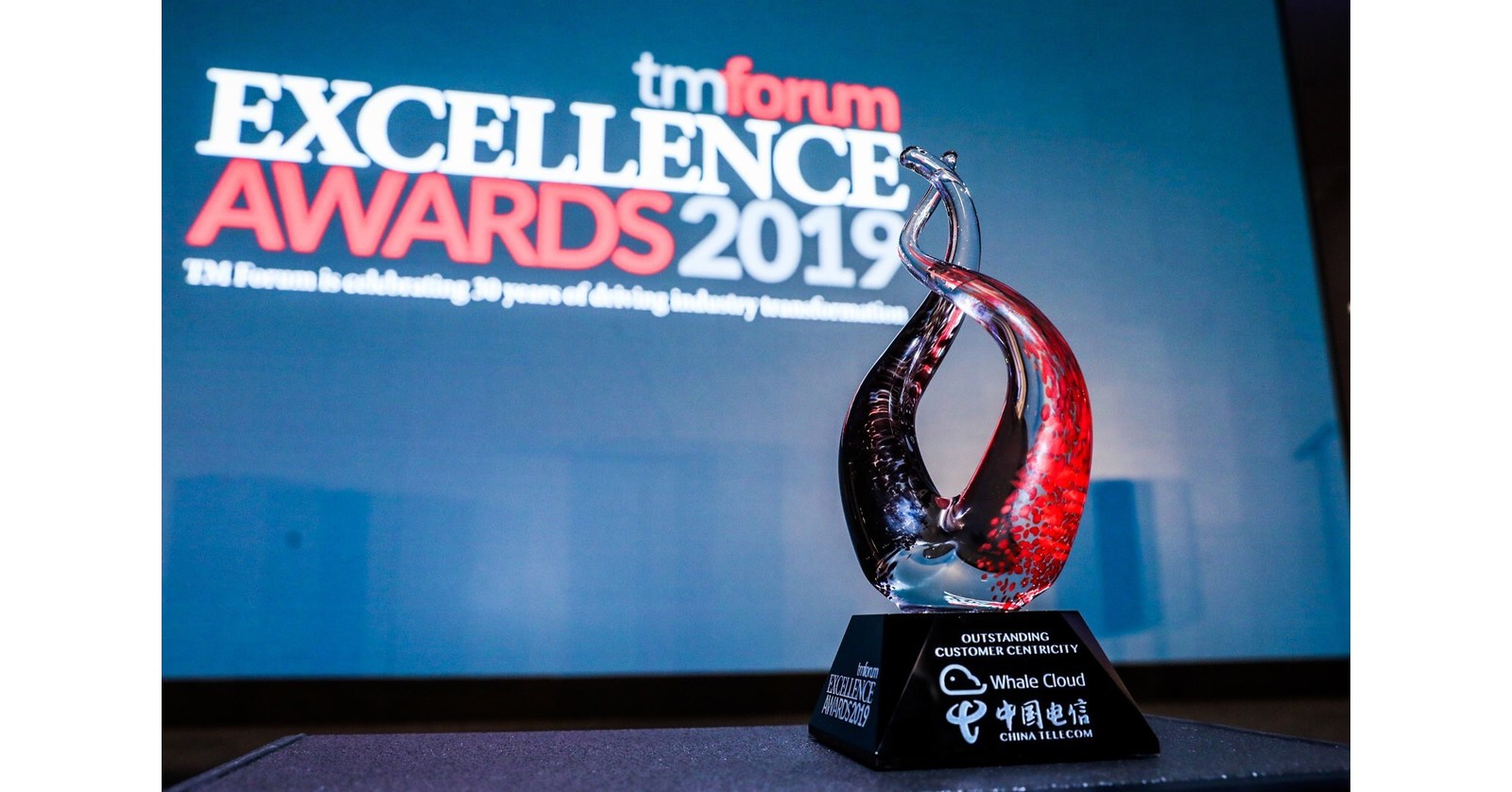Whale Cloud and China Telecom Win the "Outstanding Customer Centricity ...