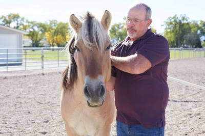Eagala Military Services Programs Offering Live Equine-Assisted ...