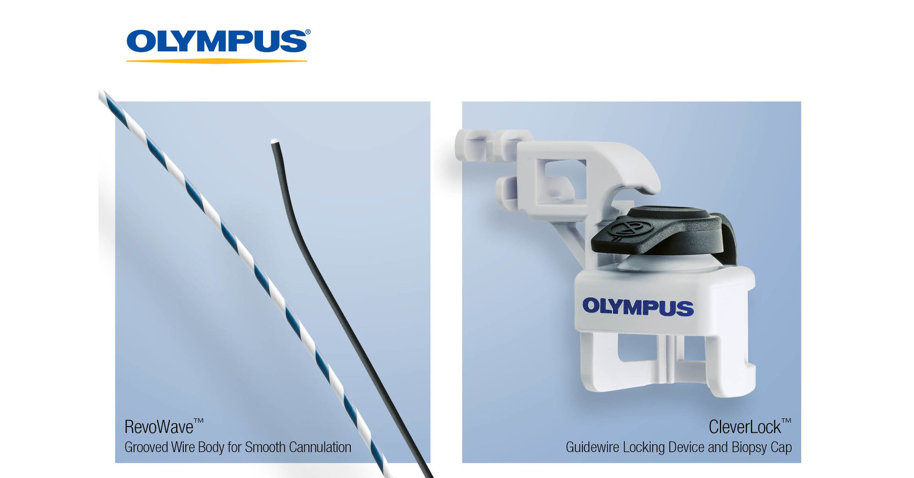 RevoWave Endoscopic Guidewire and CleverLock Guidewire Locking Device ...