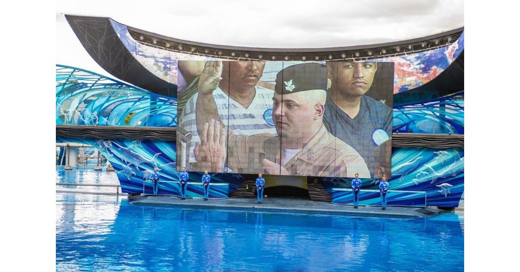 SeaWorld Parks & Entertainment Offers FREE Admission for U.S. Military ...