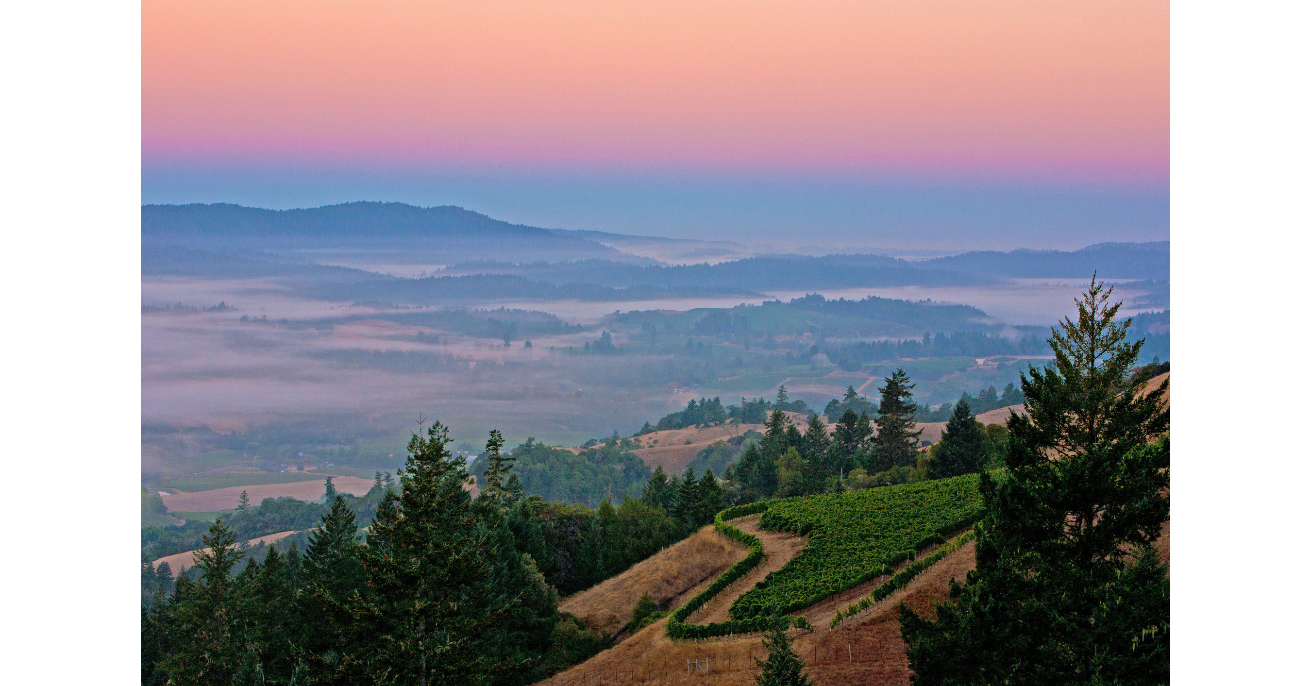 Summer Travel on California Wine Country Back Roads