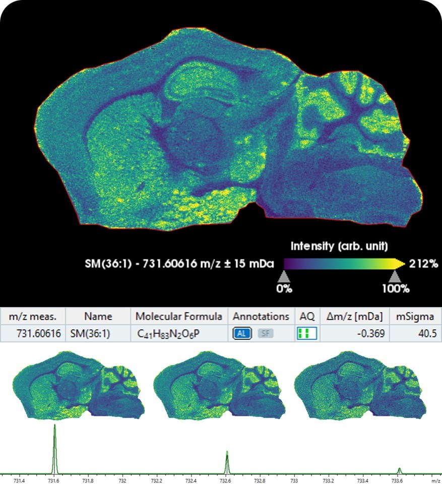 Bruker Launches timsTOF fleX™ with ESI and MALDI for SpatialOMx™