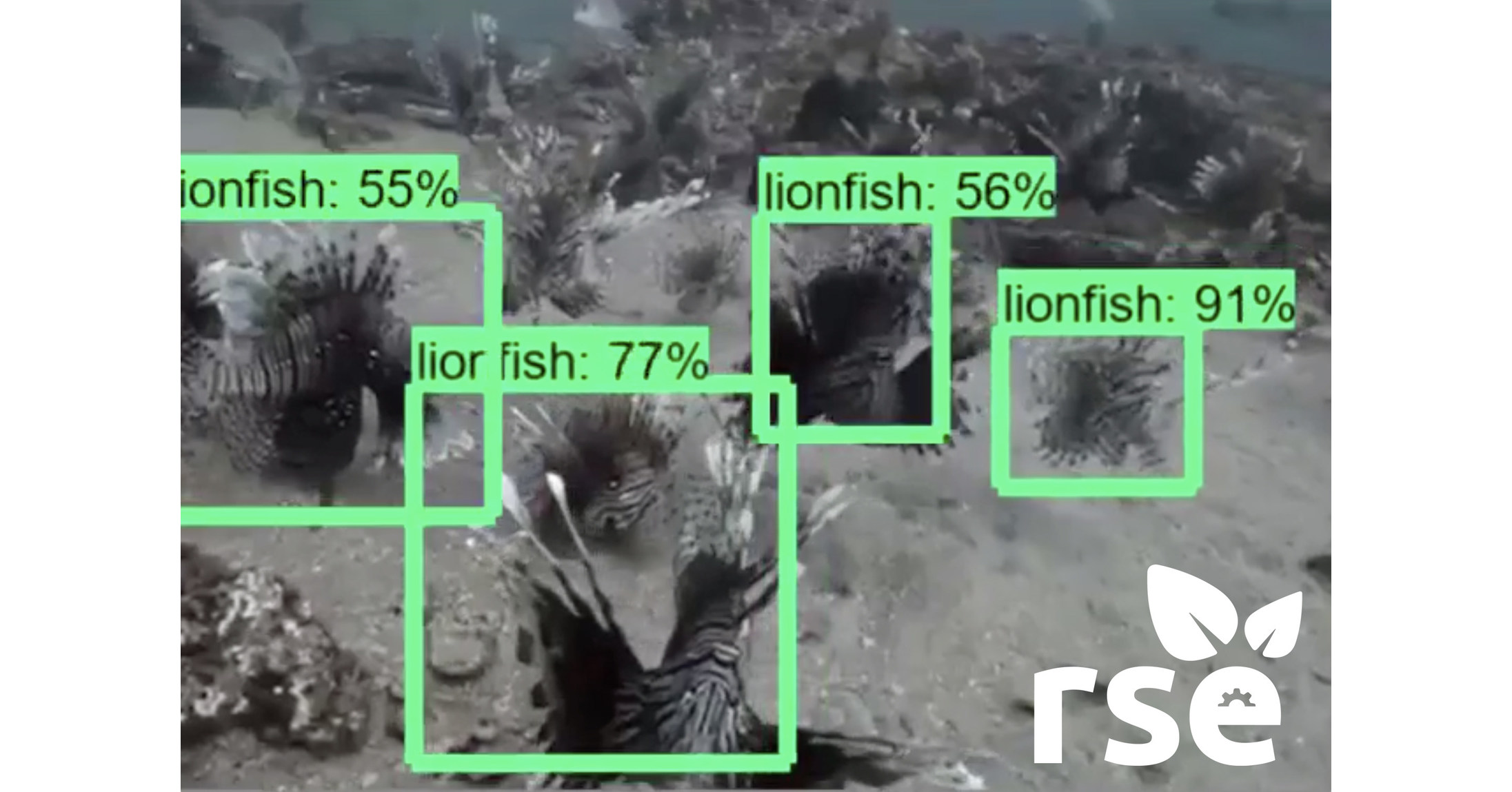 RSE Unveils Lionfish Guardian LF1, Mark 4 Robot with Visual Recognition ...