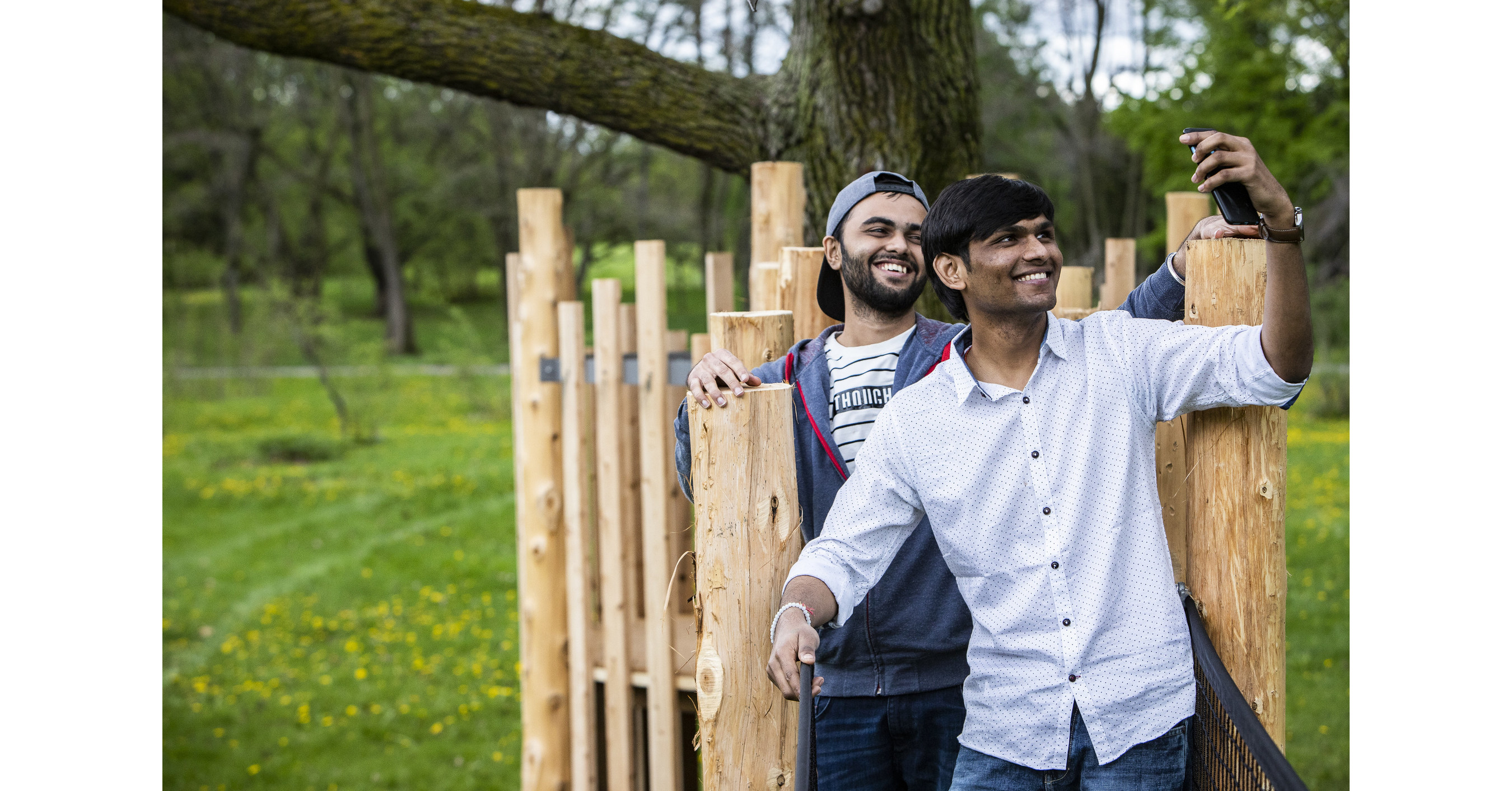 Explore Evolution on the Plant Odyssey