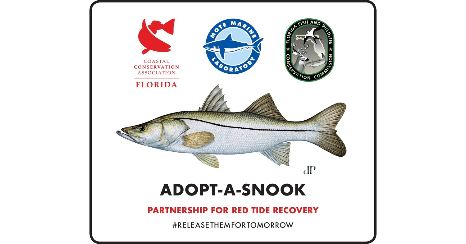 CCA Florida Continues Red Tide Recovery Efforts With The Release Of ...