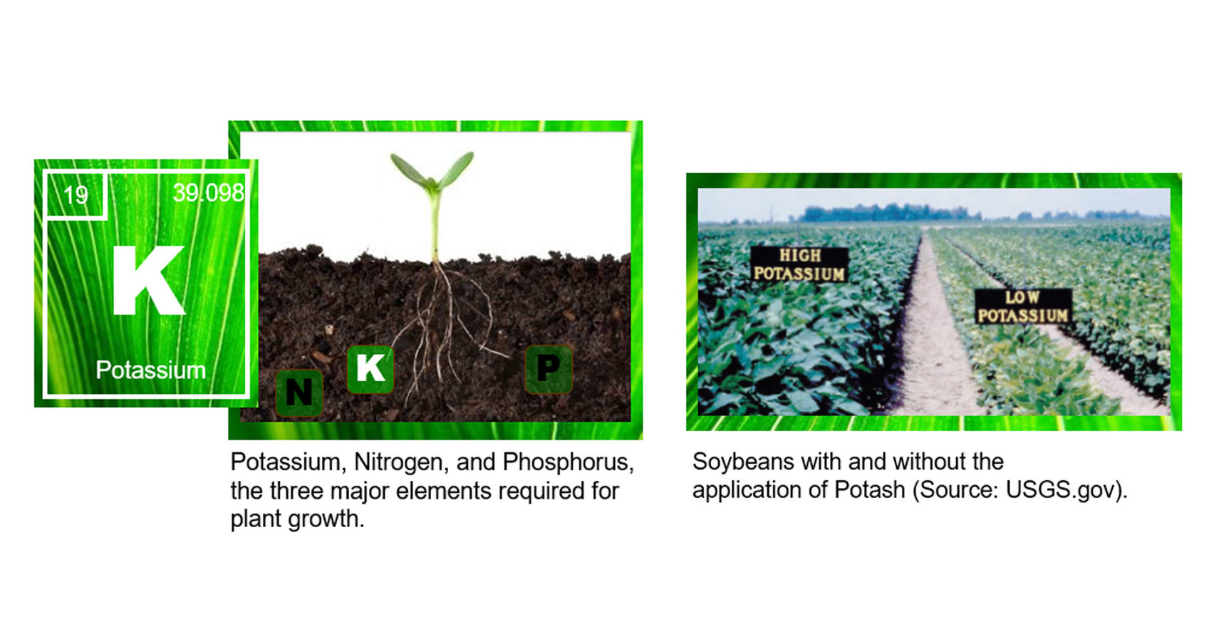 Federal Strategy May Benefit Western Michigan, US Farmer