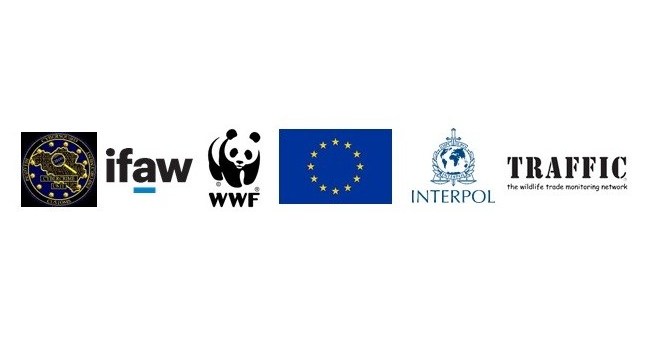 Ifaw Logo CONSERVATION AND HEALTH ORGANIZATIONS UNITE IN URGENT APPEAL