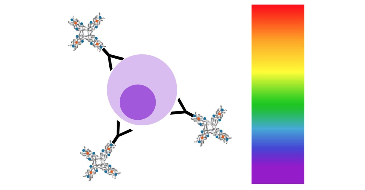 Phitonex Launches NovaFluor Dyes Enabling High Resolution Biology for ...