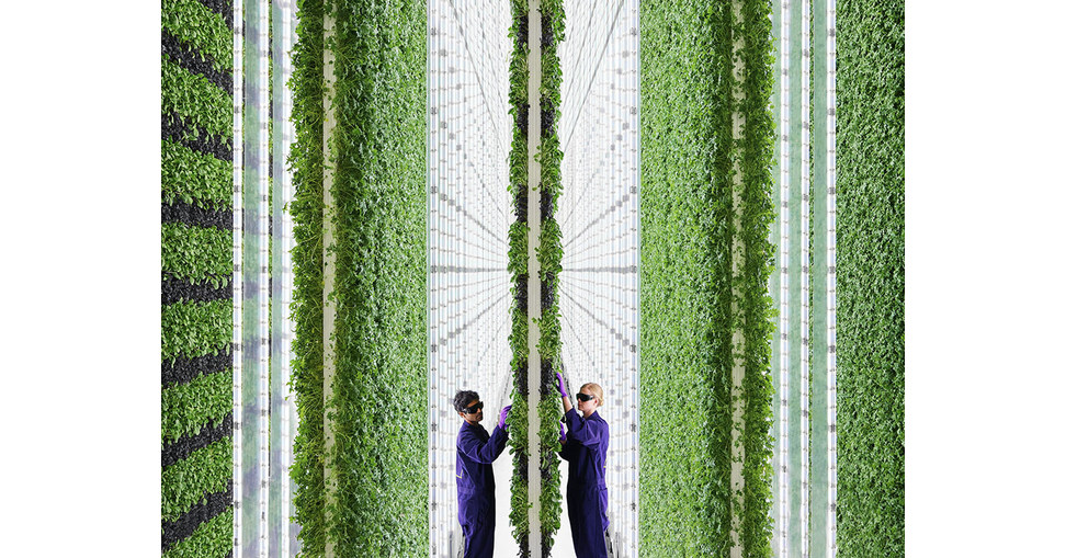 Plenty Debuts Flavor-First Vertical Farm to Change the Way People Eat