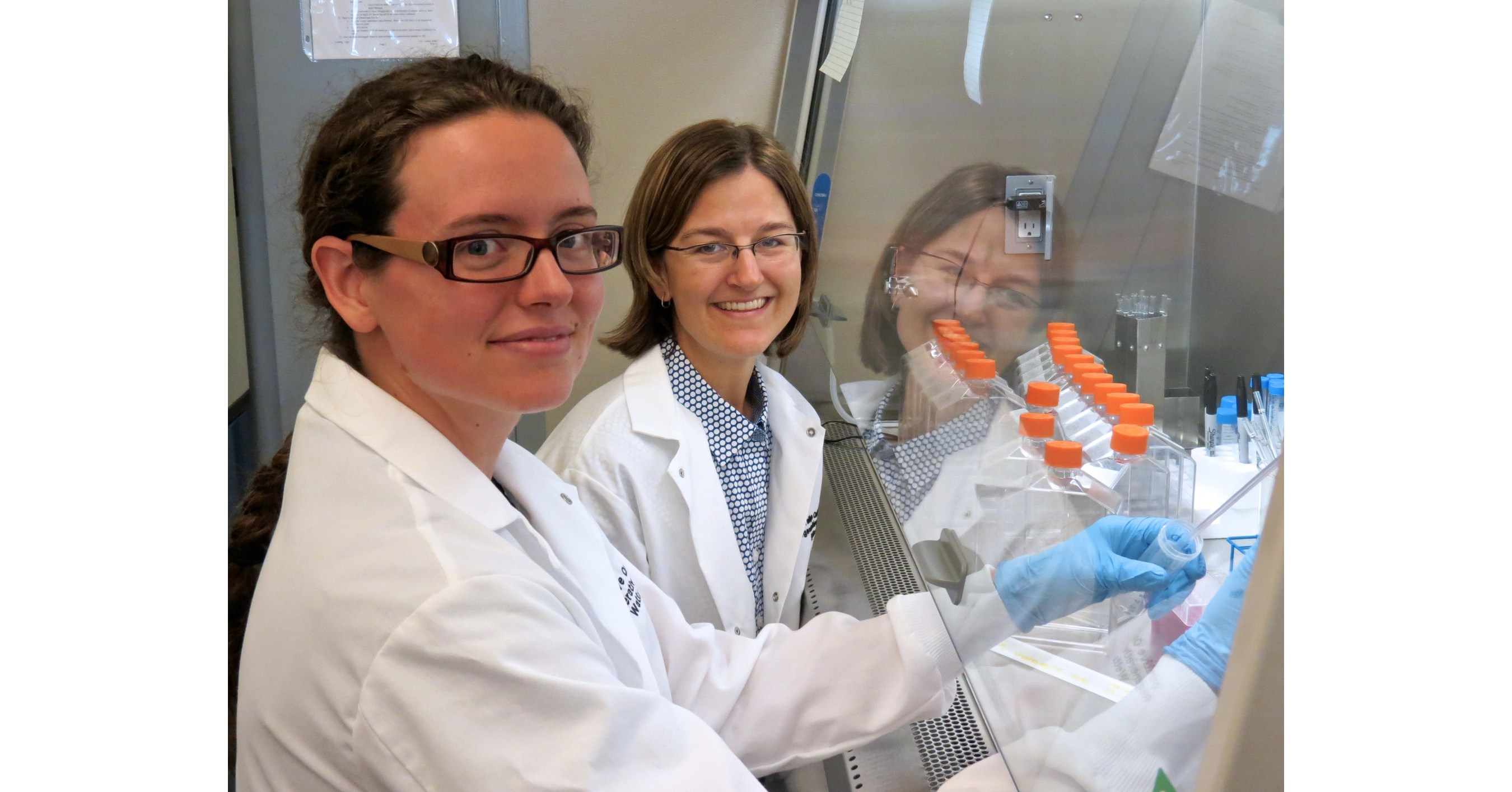 Veterinary Students Advance Animal And Human Health Through Research As ...