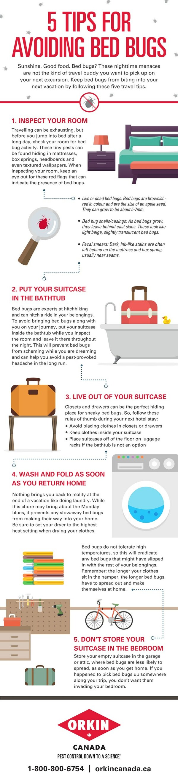 Sleep tight - don't let the bed bugs bite
