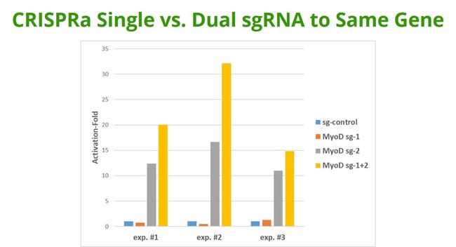Cellecta, Inc. Launches the First Commercially Available Dual-sgRNA ...