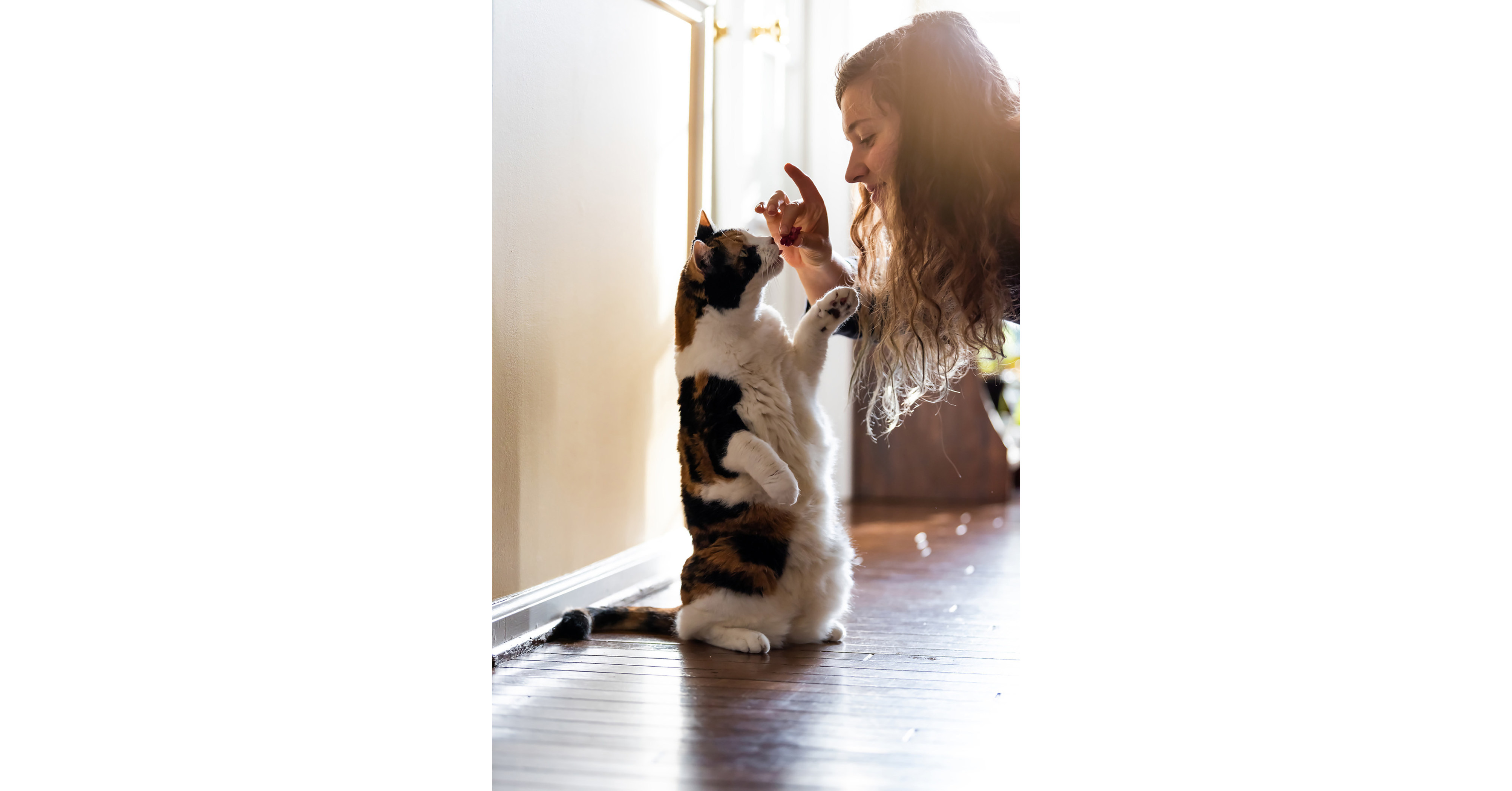 4 Ways to Connect with Your Cat