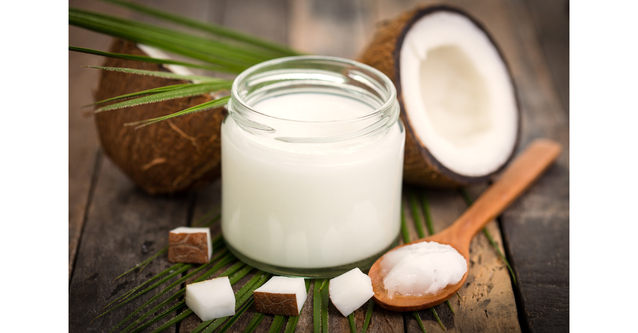 The Coconut Coalition of the Americas Celebrates the Inaugural National ...