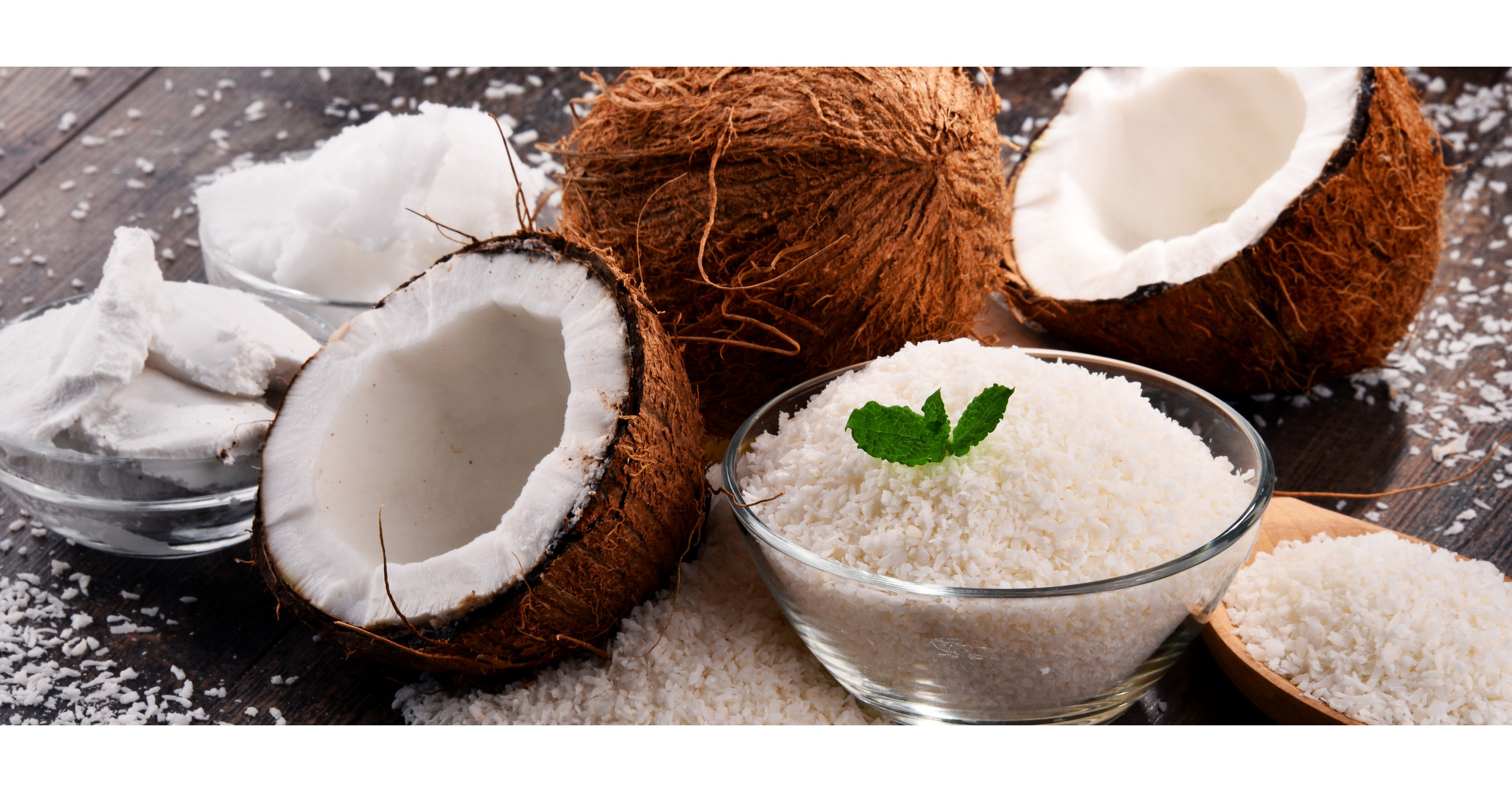The Coconut Coalition of the Americas Celebrates the Inaugural National ...