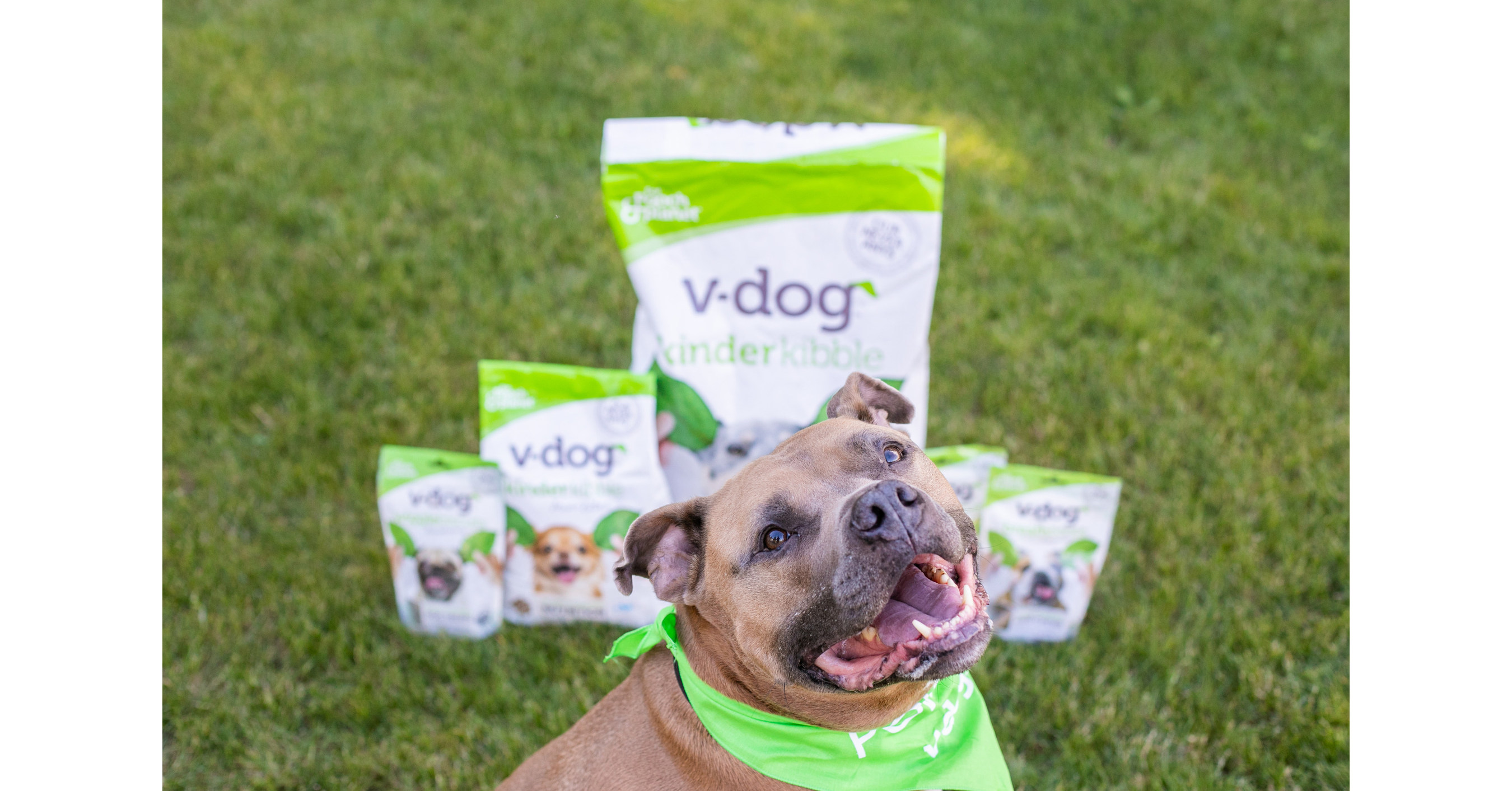 V-Dog Announces Third Annual Vegan Dog Month Campaign