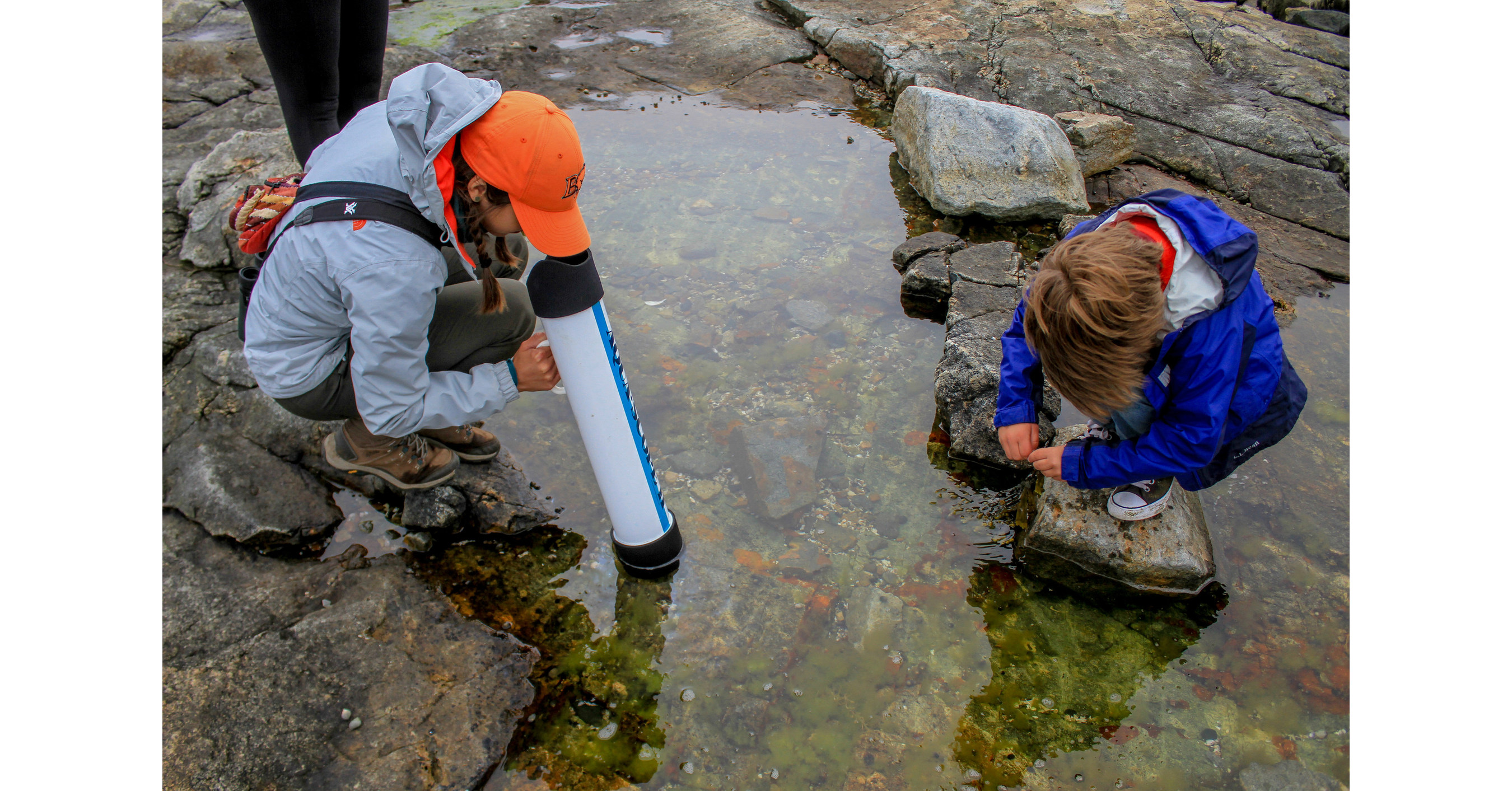 Baker University receives $1.25 Million to Continue Biology Program ...
