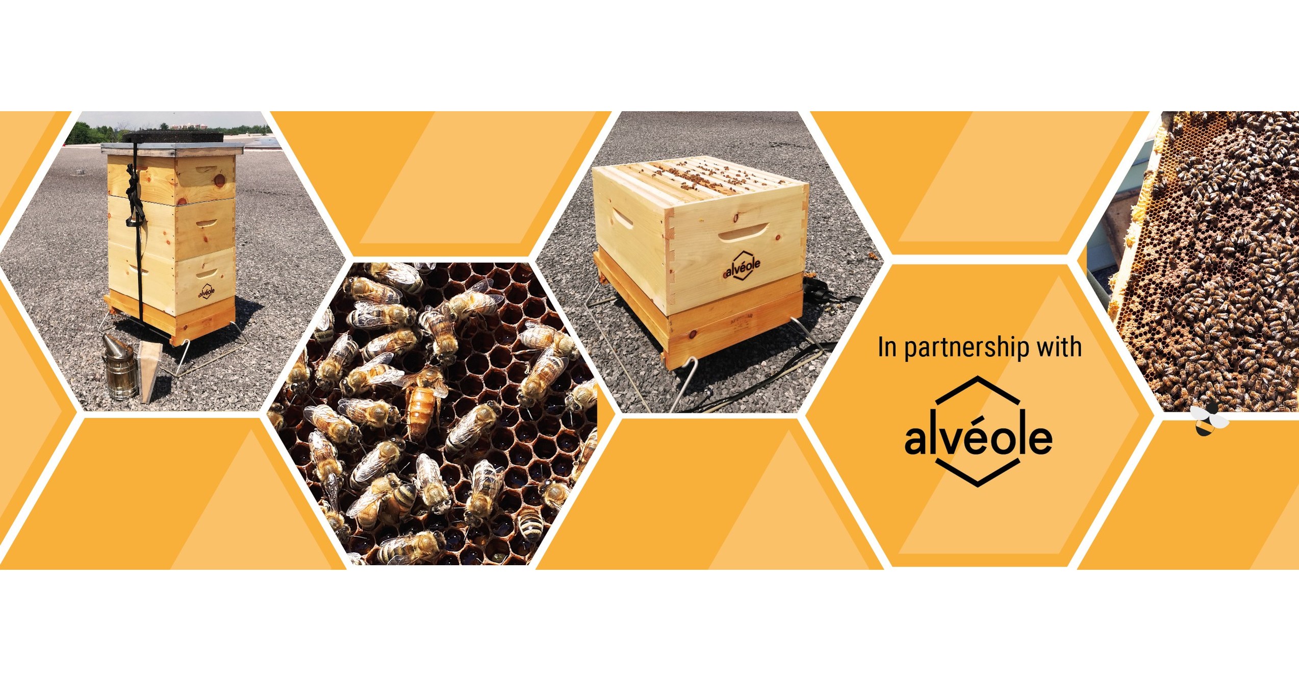 Sustainable development: BTB seeks the help of its BTB'ees!