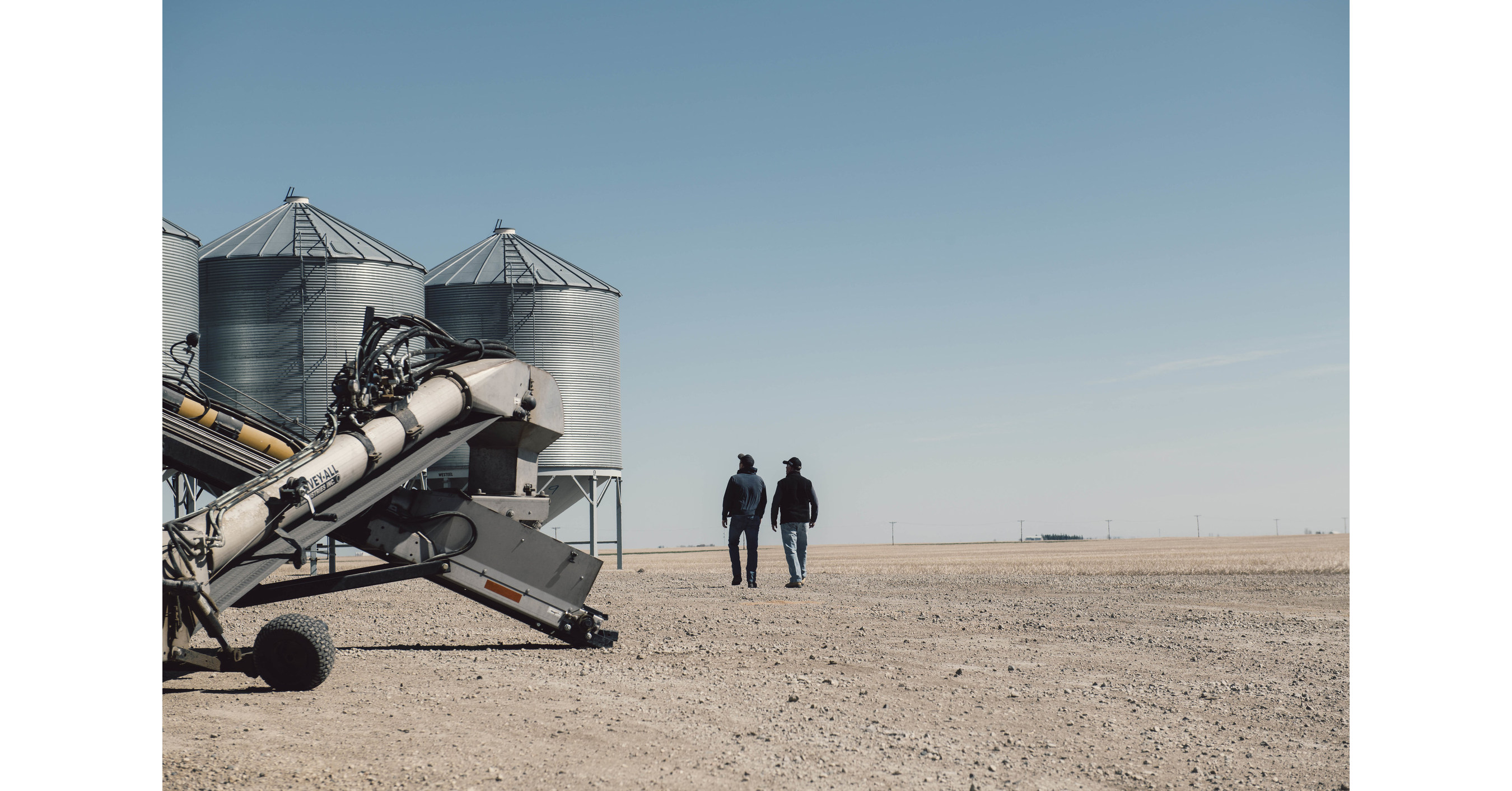 BASF introduces new distribution model for Agricultural Solutions in ...