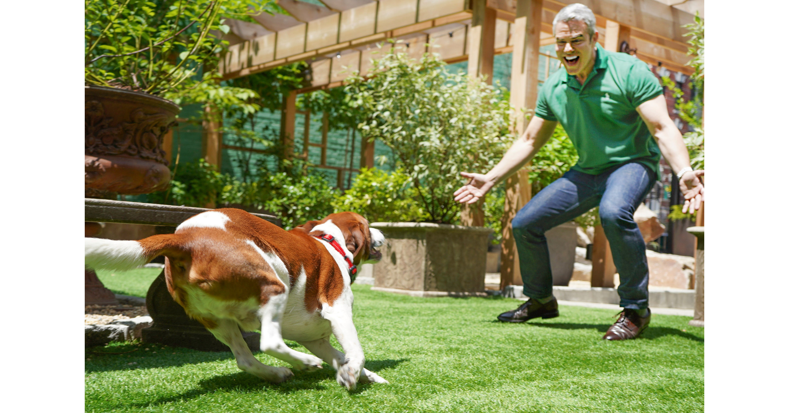New Survey Shows Majority of Senior Dog Owners Are Not Aware That Their ...