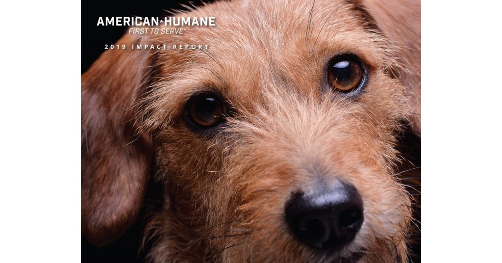 American Humane Details Global Efforts in Protecting World's Animals