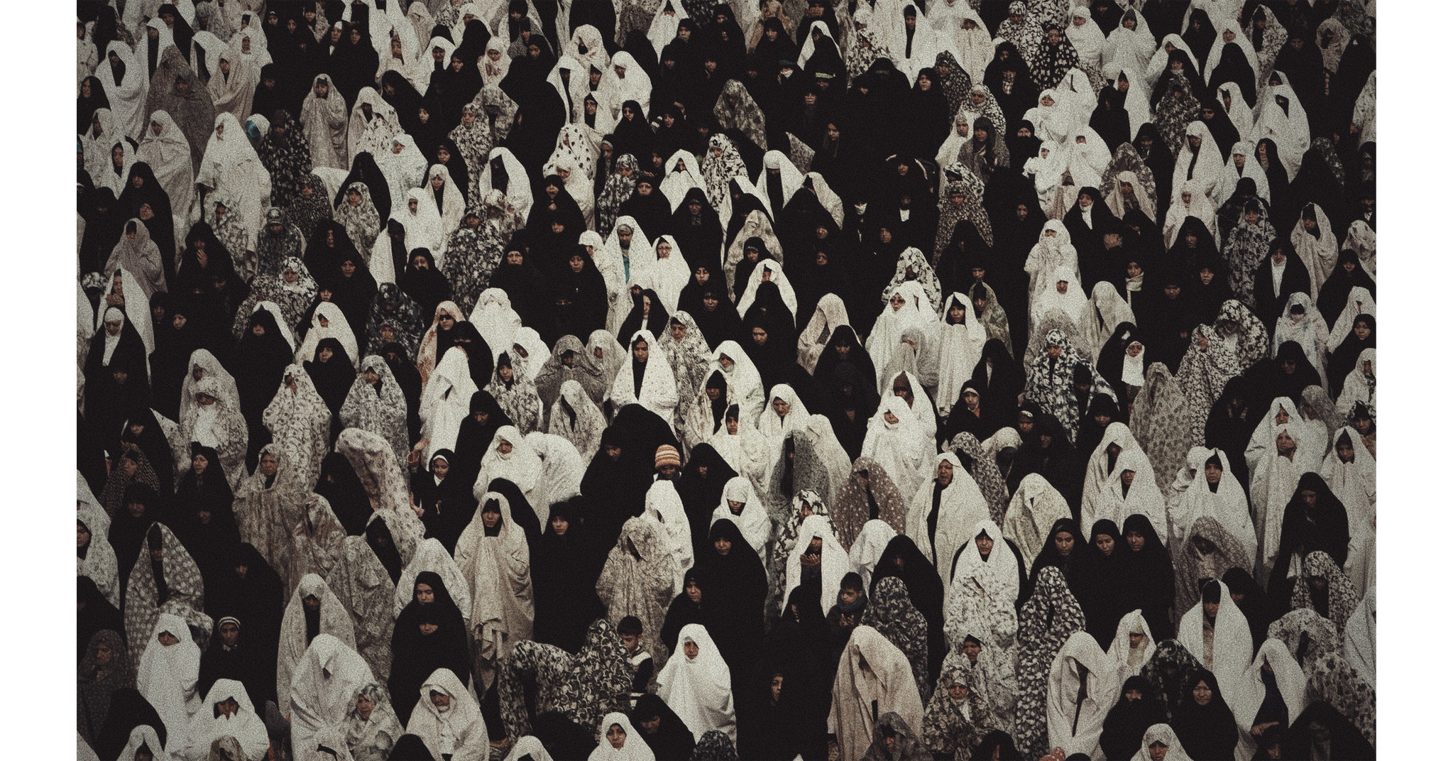 New Film from FAIstudios: "Sheep Among Wolves Vol. II"