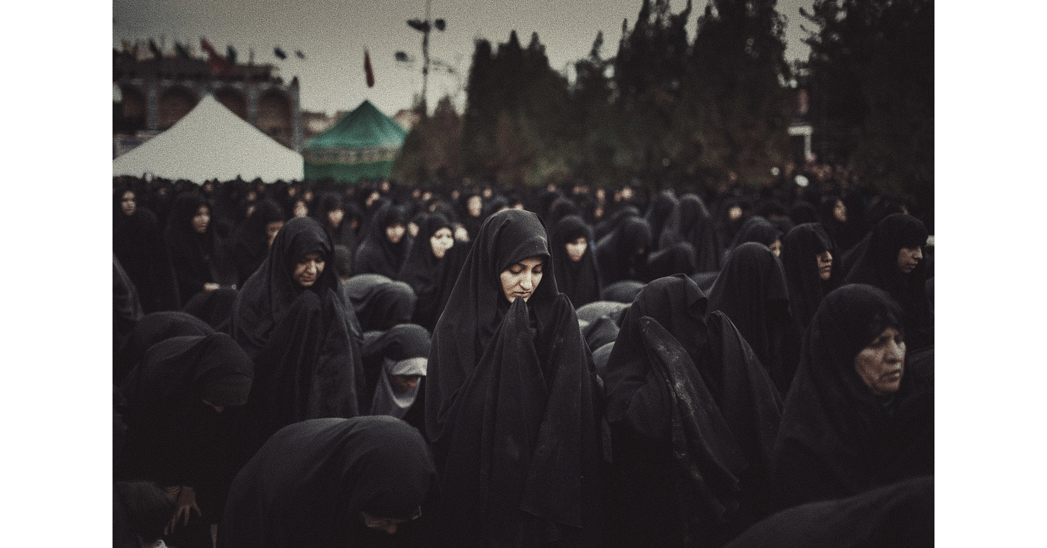 New Film from FAIstudios: "Sheep Among Wolves Vol. II"