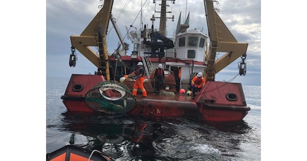 Successful three-day Operation Ghost recovers 101 traps and nine ...