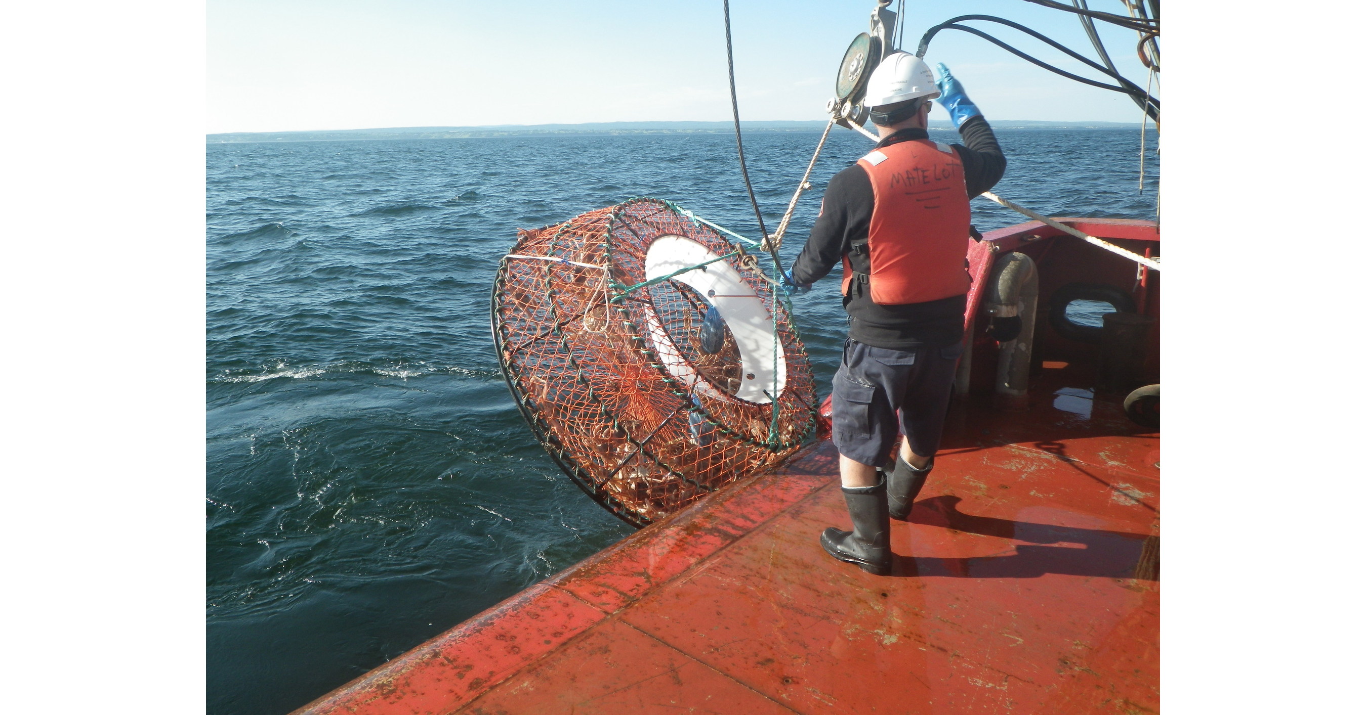 Successful three-day Operation Ghost recovers 101 traps and nine ...