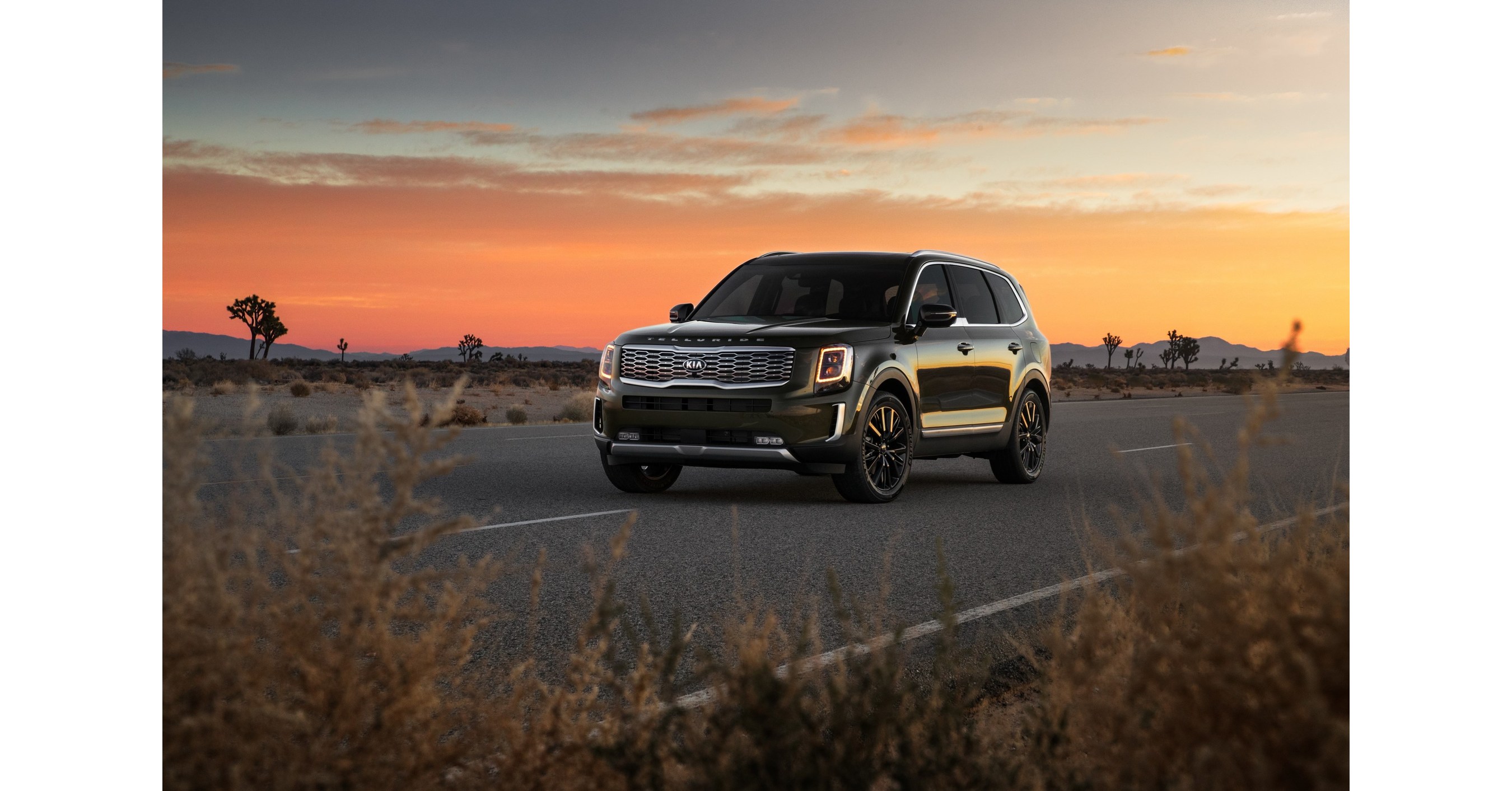 Kia Has The Most Vehicles With Top Safety Pick And Top Safety Pick Plus ...
