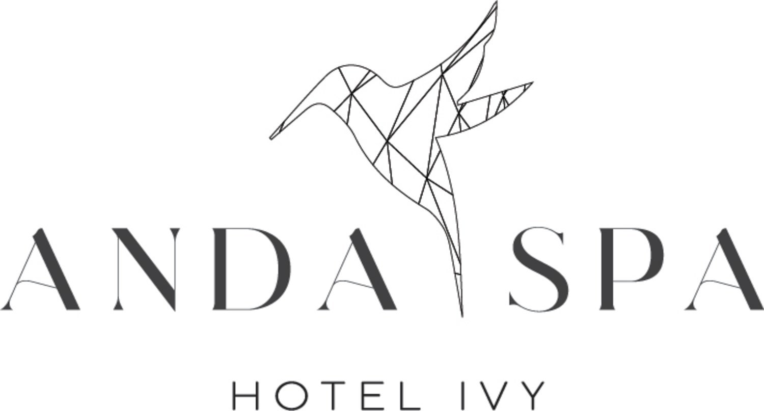Grand Opening Of Anda Spa Brings A Modern Wellness Retreat To Downtown ...