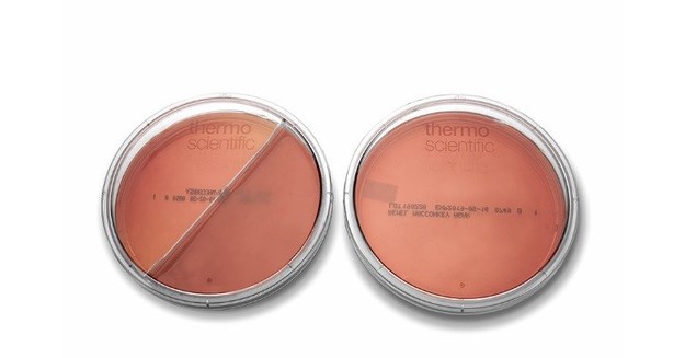 Automation-Compatible Prepared Culture Media Plate Technology Boosts ...