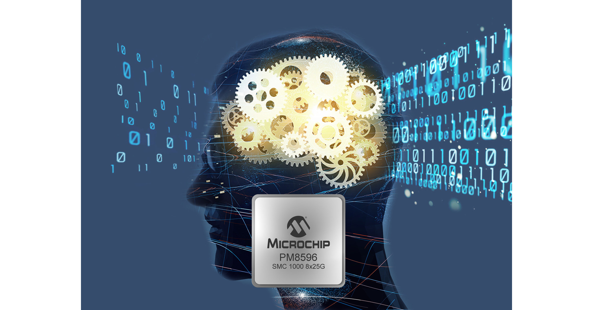 Microchip Enters Memory Infrastructure Market with Serial Memory ...