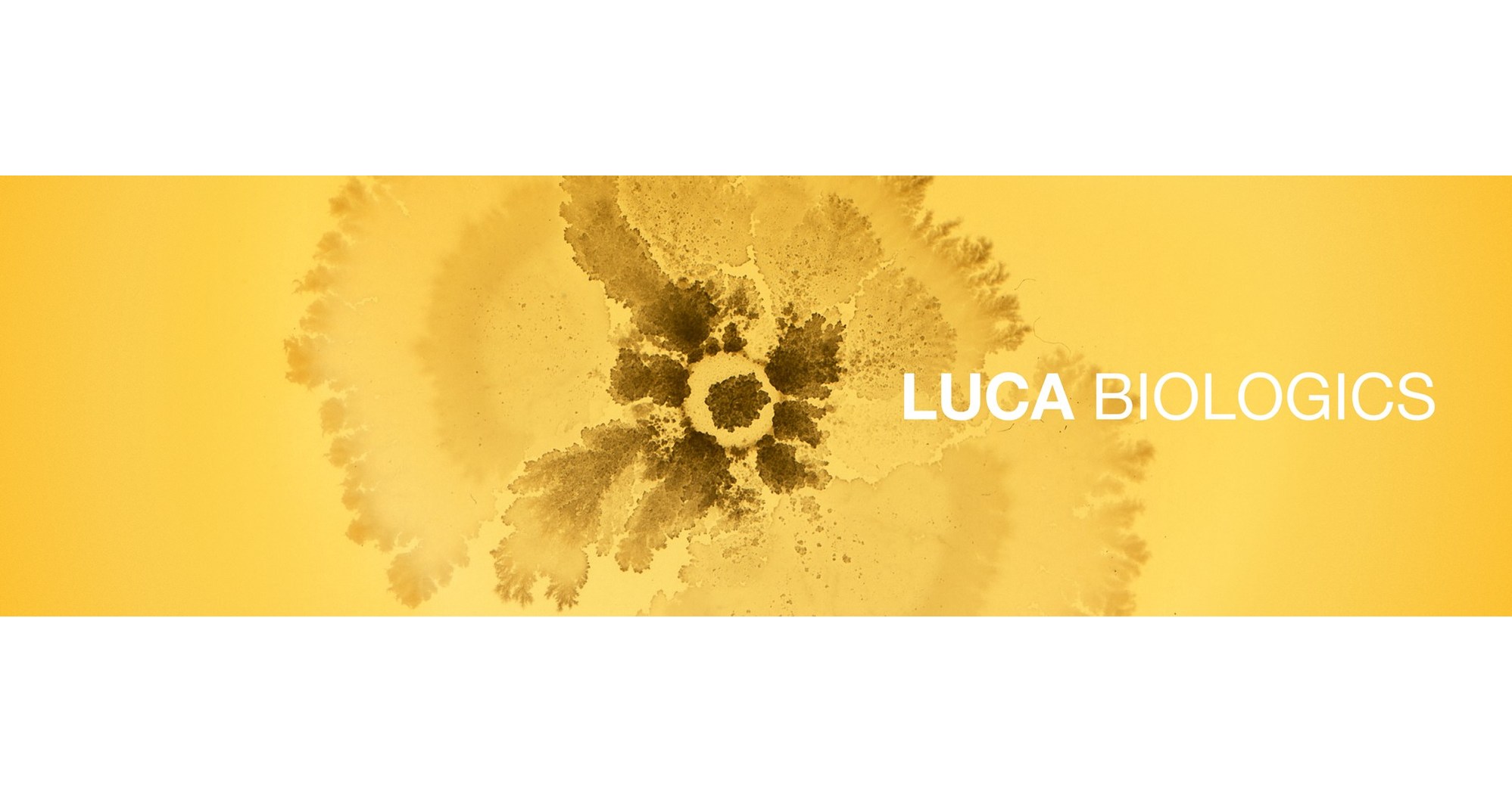 LUCA Biologics Launches to Develop Live Biotherapeutics for Women's ...