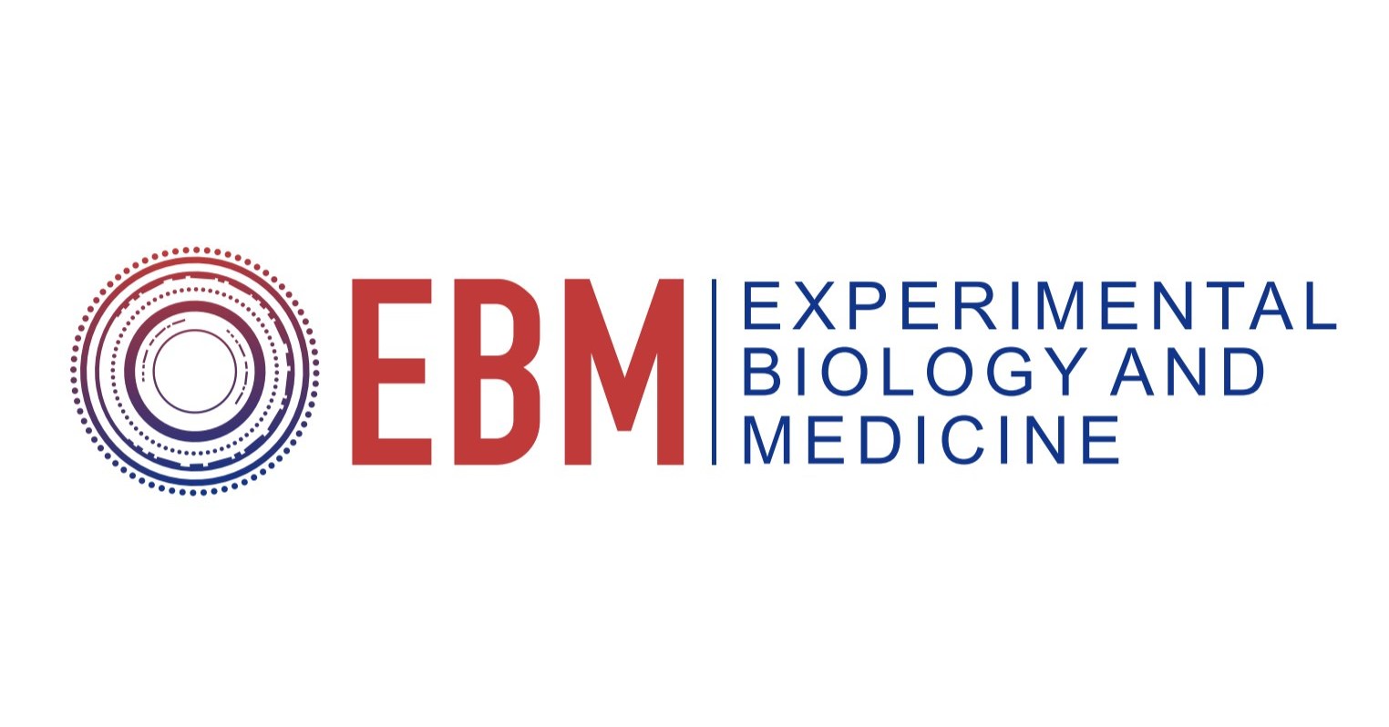 A New Model for Lymphoma Drug Discovery