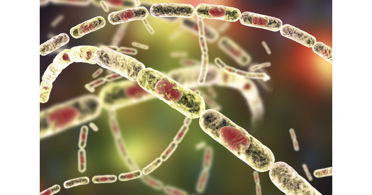 IBBR Collaborates with Integrated BioTherapeutics to Advance a Novel ...