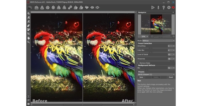 Fix Blurred Photos Using AKVIS Refocus 8.5 -- Now with History Brush