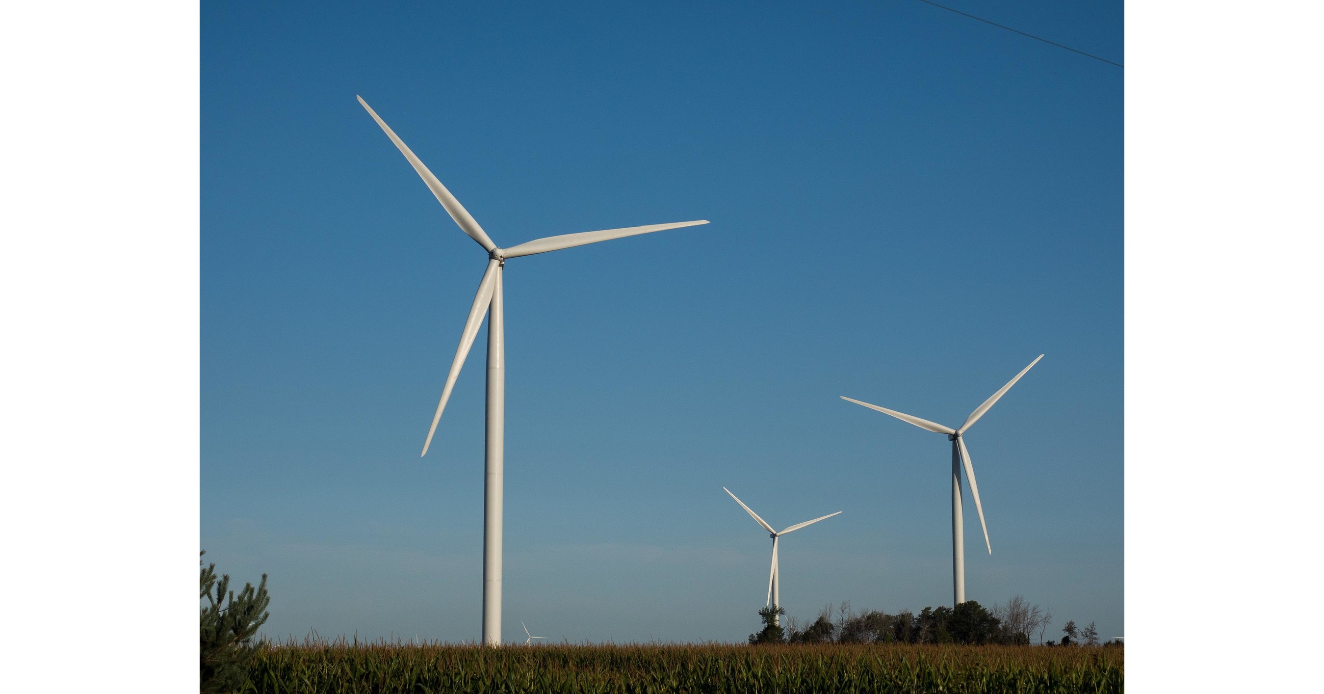 Detroit Zoo to meet 100% renewable energy goal