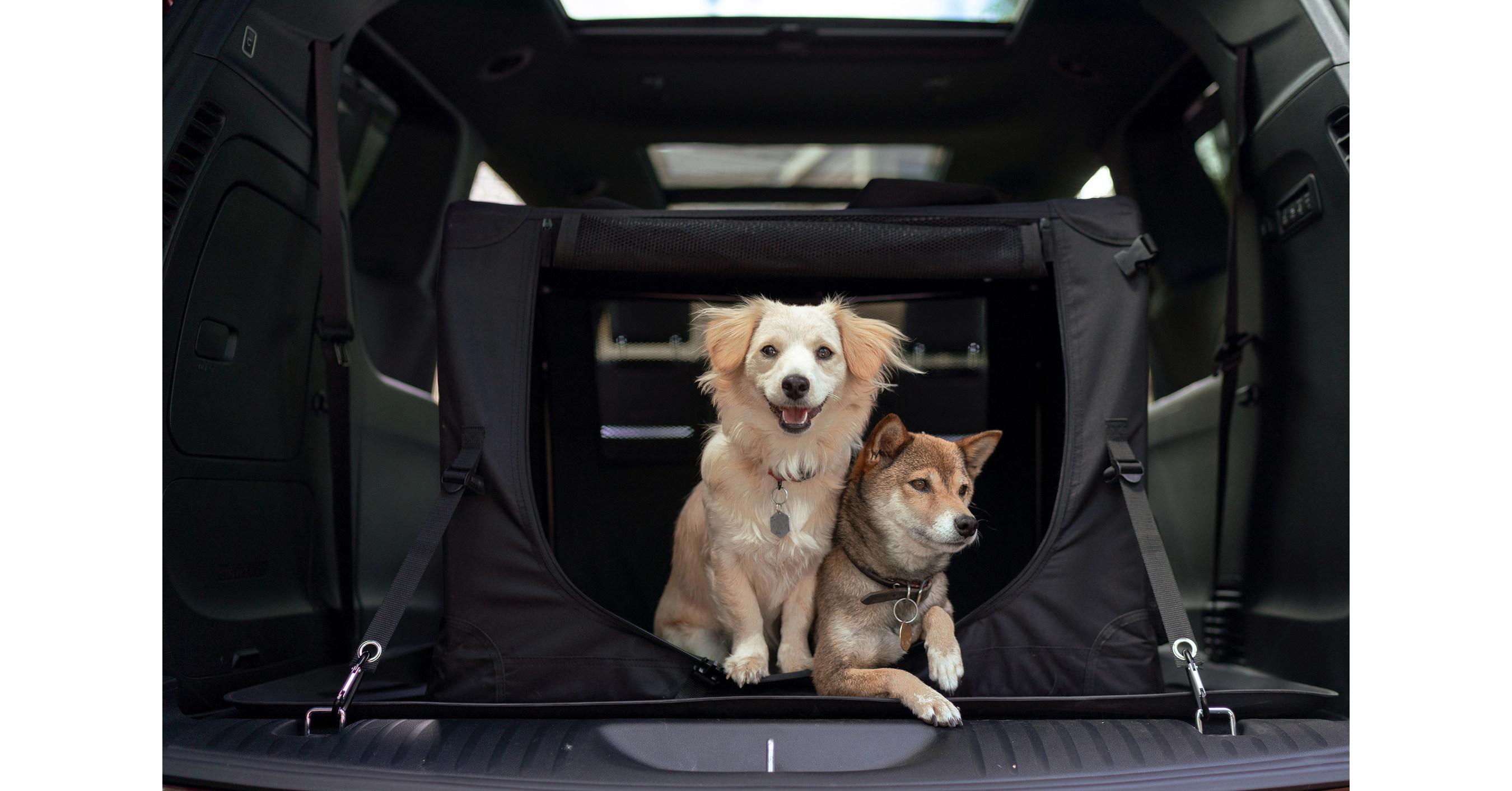 Canine Approved: 2019 Chrysler Pacifica and 2019 Jeep® Wrangler Named ...