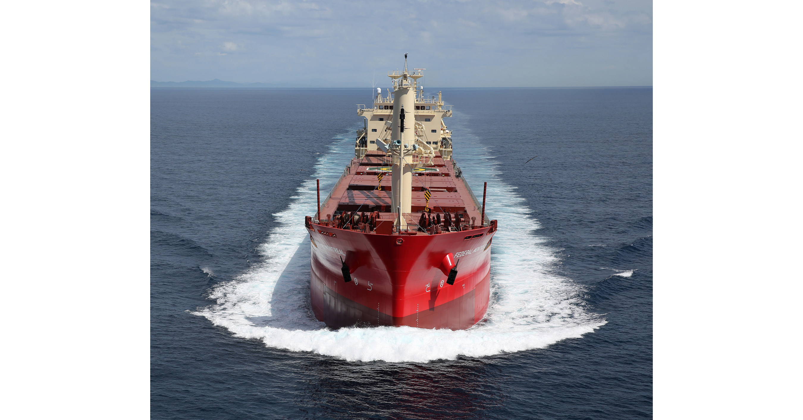 Fednav Celebrates its Anniversary with a Special Name