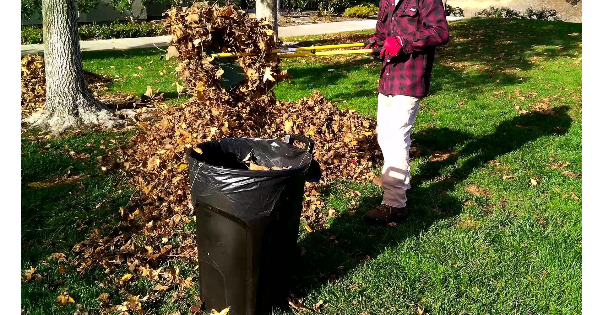 Just in Time for Fall, Grab-All Company Introduces a New Yard Tool That ...