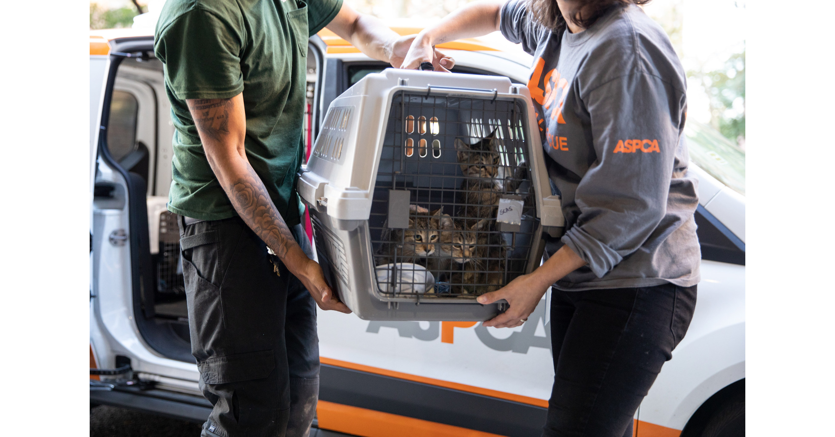 ASPCA and Wings of Rescue Fly Nearly 200 Homeless Animals in the Path ...
