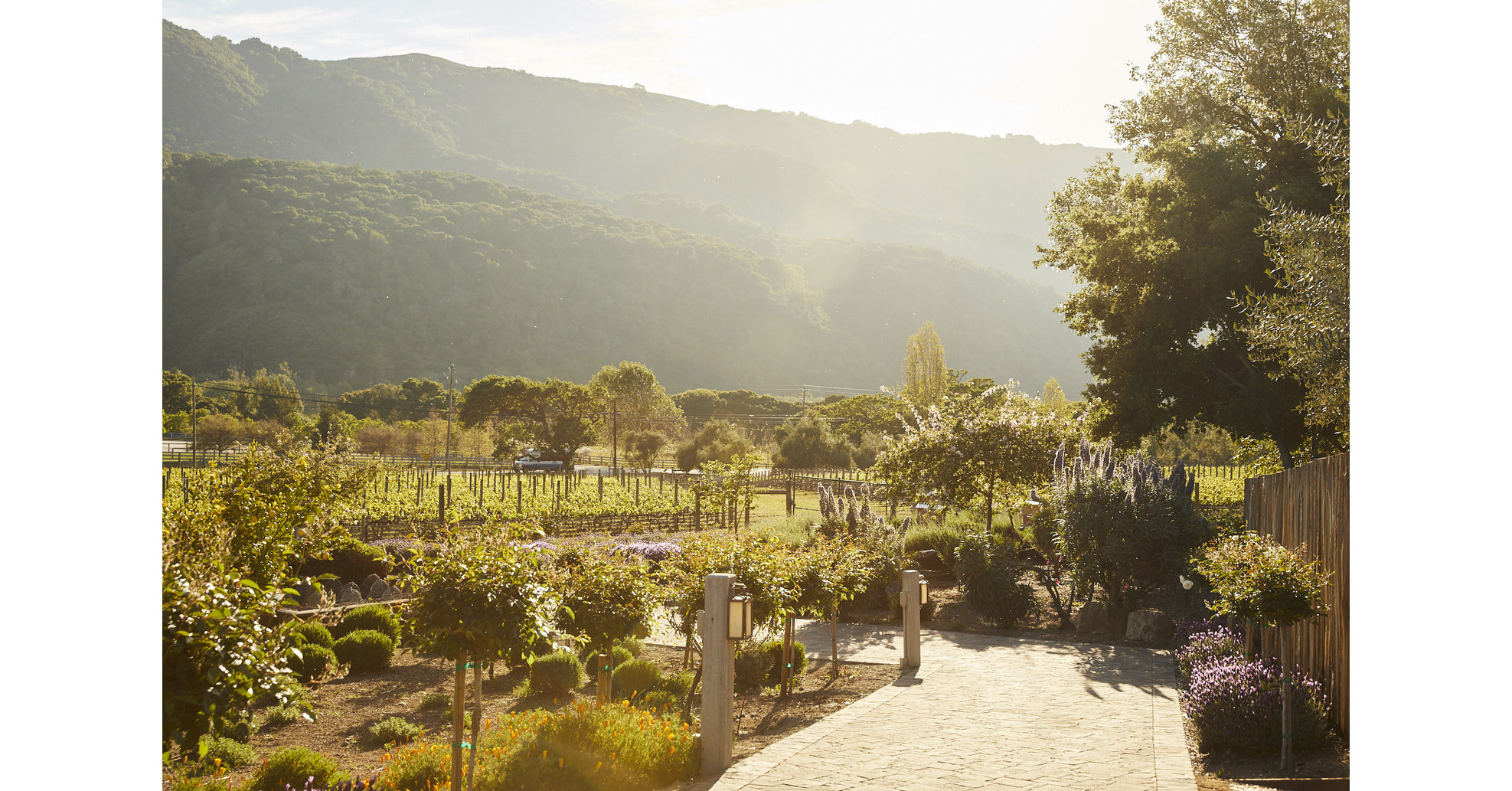 Discover the Perfect Fall Getaway in Monterey County