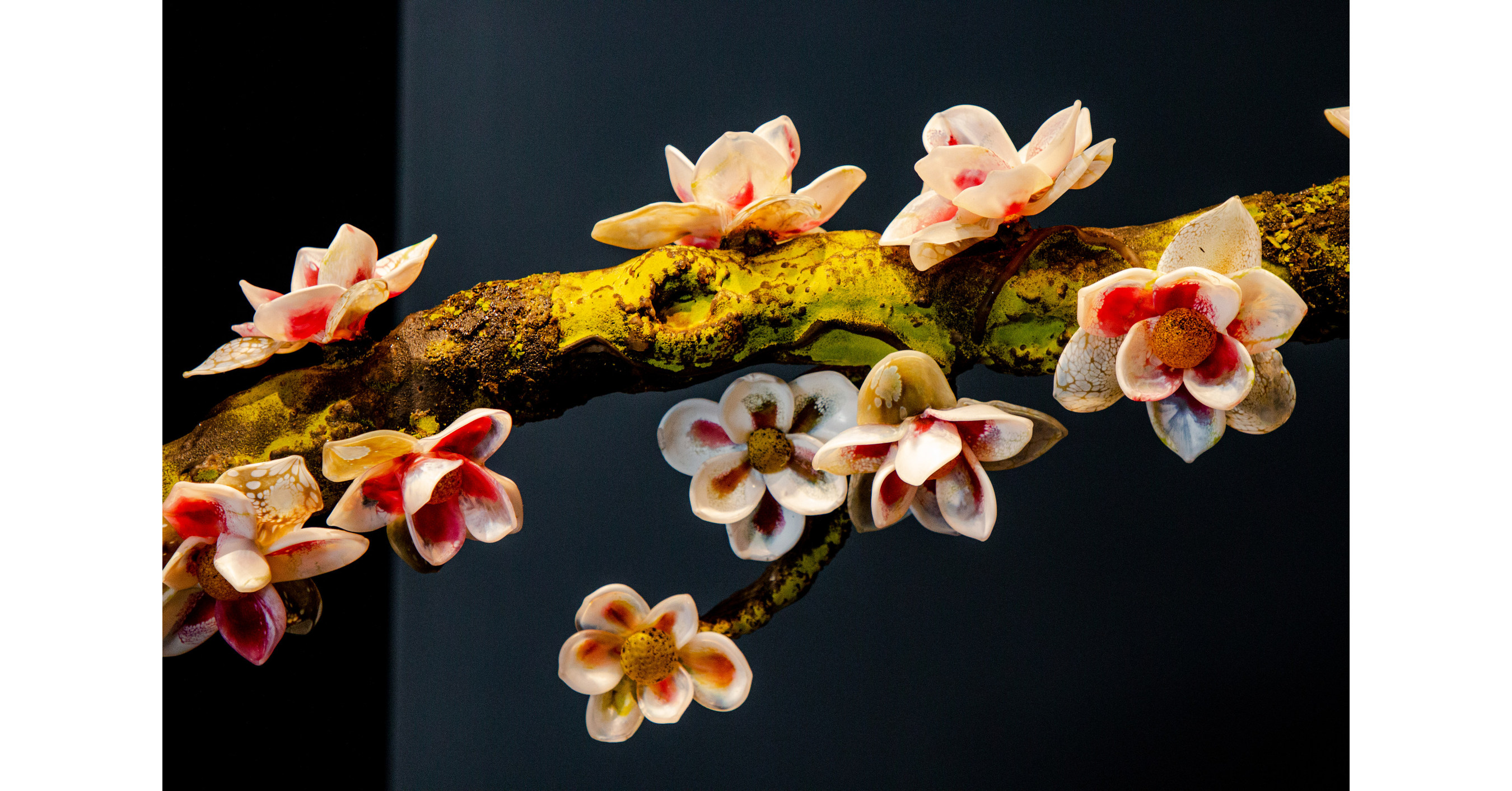 VISITSEATTLE.tv Launches "State of Glass" in Conjunction with Refract ...